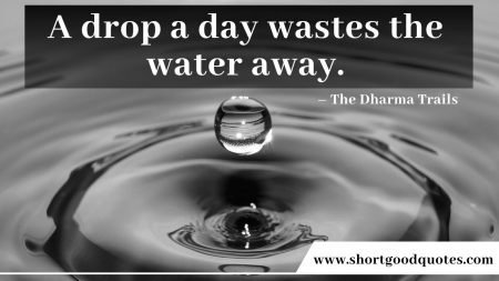 Best Inspirational Save Water Quotes 2021 - Short Good Quotes