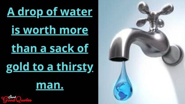 Best Inspirational Save Water Quotes 2024 - ShortGoodQuotes