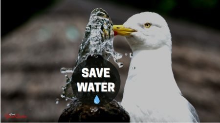Best Inspirational Save Water Quotes 2021