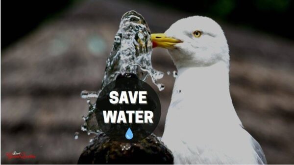 Best Inspirational Save Water Quotes 2024 - ShortGoodQuotes