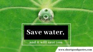 Best Inspirational Save Water Quotes 2024 - ShortGoodQuotes