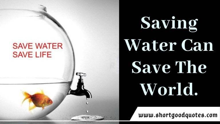 Best Inspirational Save Water Quotes 2024 - ShortGoodQuotes