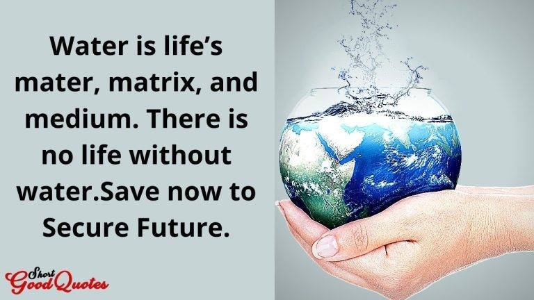 Best Inspirational Save Water Quotes 2024 - ShortGoodQuotes