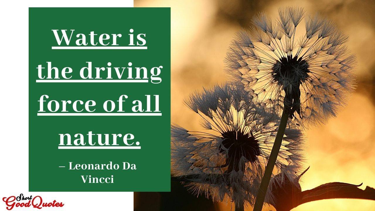 Best Inspirational Save Water Quotes 2024 – ShortGoodQuotes