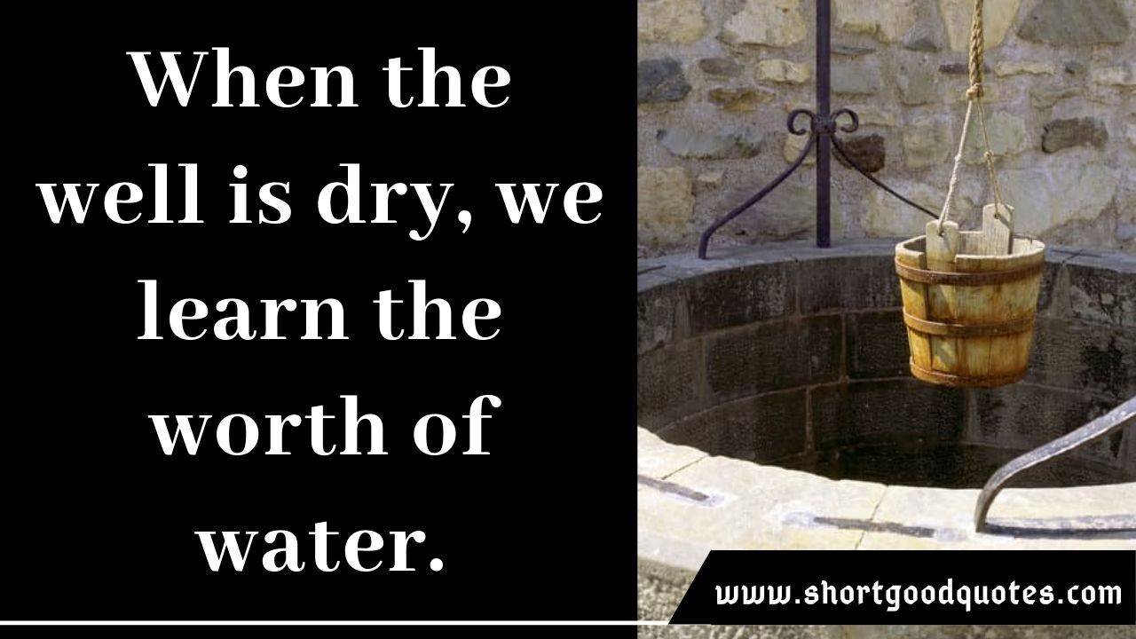 Best Inspirational Save Water Quotes 2024 – ShortGoodQuotes