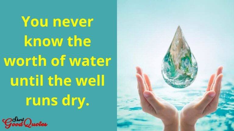 Best Inspirational Save Water Quotes 2024 - ShortGoodQuotes