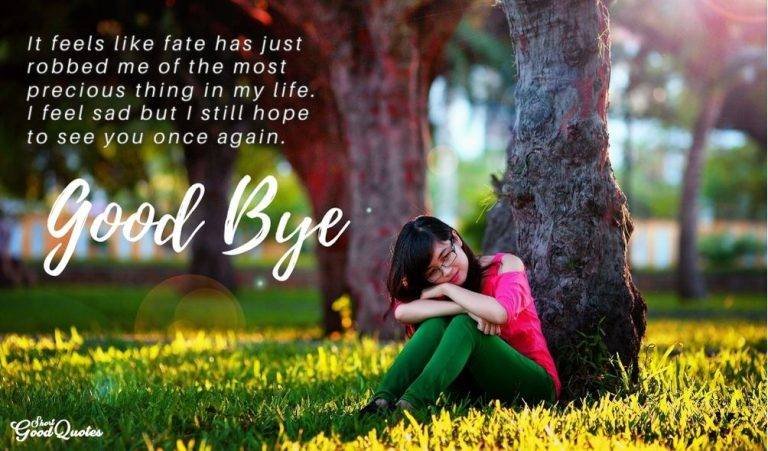 50+ Beautiful Heartfelt Goodbye Messages and Quotes - ShortGoodQuotes