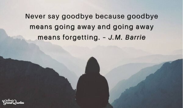50+ Beautiful Heartfelt Goodbye Messages and Quotes - ShortGoodQuotes