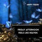 100+ Happy Friday Wishes, Messages, Quotes and Greetings - ShortGoodQuotes