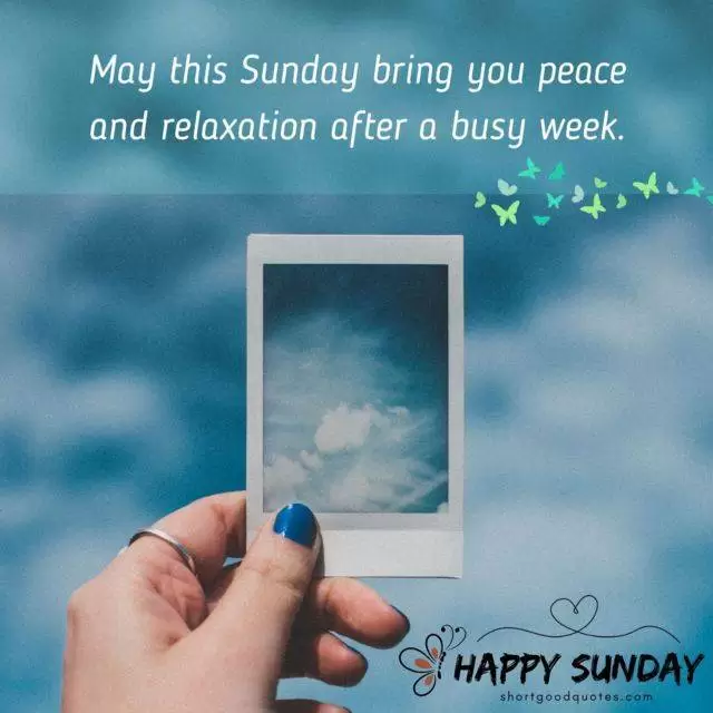 70+ Happy Sunday Wishes, Messages, Greetings and Quotes - ShortGoodQuotes
