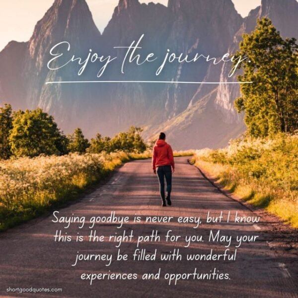 100 Heartfelt Farewell Messages, Quotes and Wishes - ShortGoodQuotes