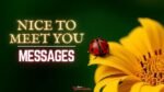 50+ Nice To Meet You Messages - ShortGoodQuotes