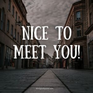 50+ Nice To Meet You Messages - ShortGoodQuotes