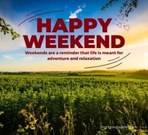 99+ Inspirational End of the Weekend Quotes and Captions for Instagram ...